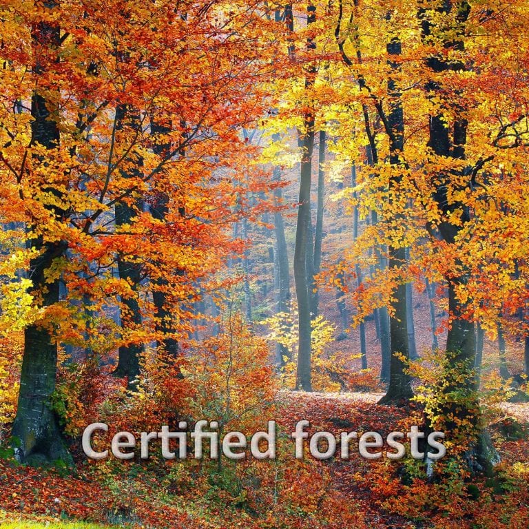 USA Forests – The State of America's Forests