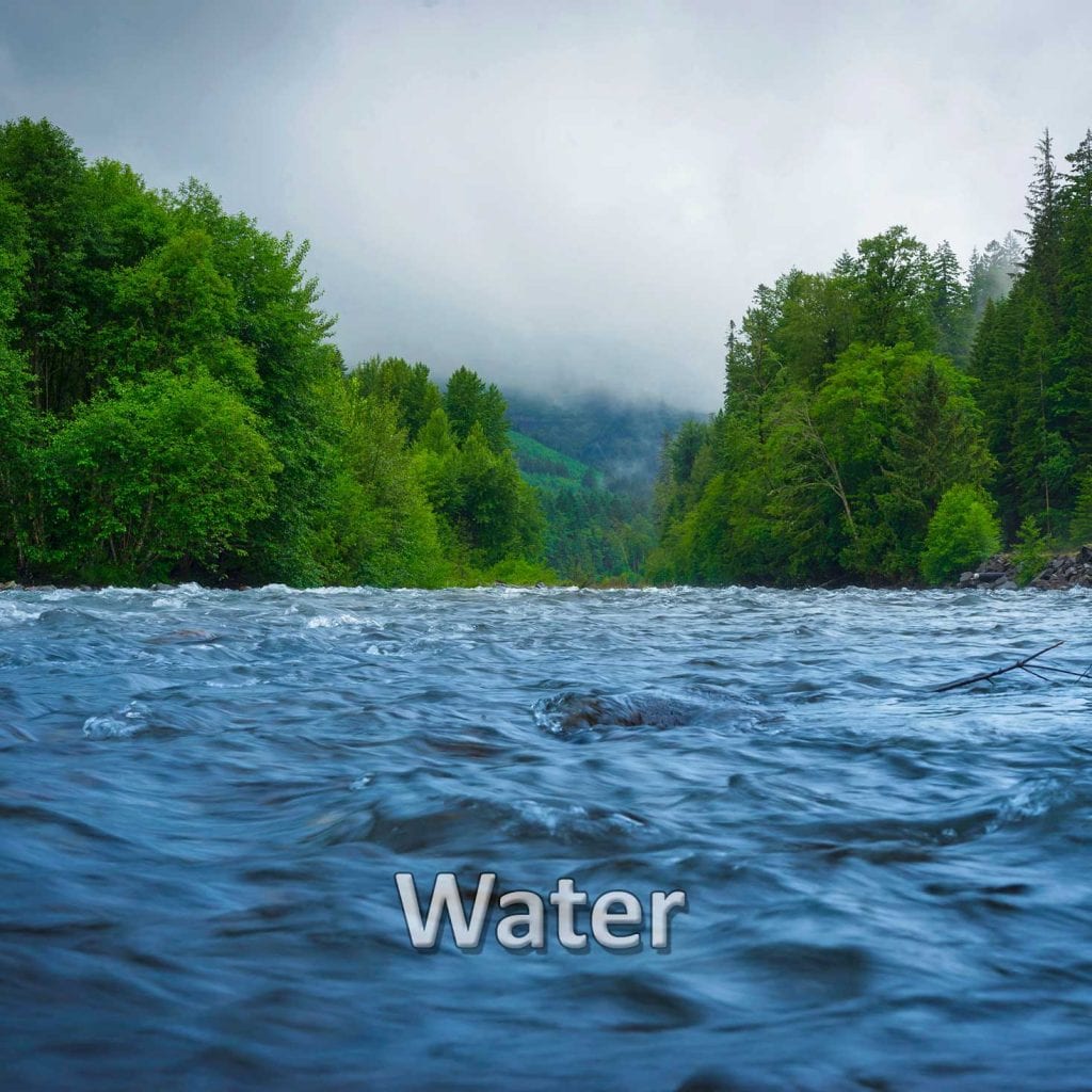USA Forests – The State of America's Forests