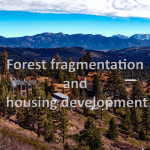 USA Forests – The State of America's Forests